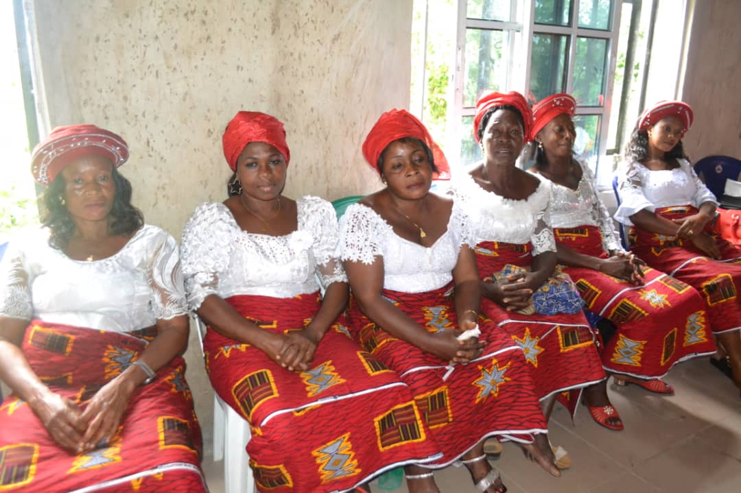 IMO STATE FIRST LADY, H.E. BARR. CHIOMA UZODIMMA BAGS AWARD OF GRAND ...